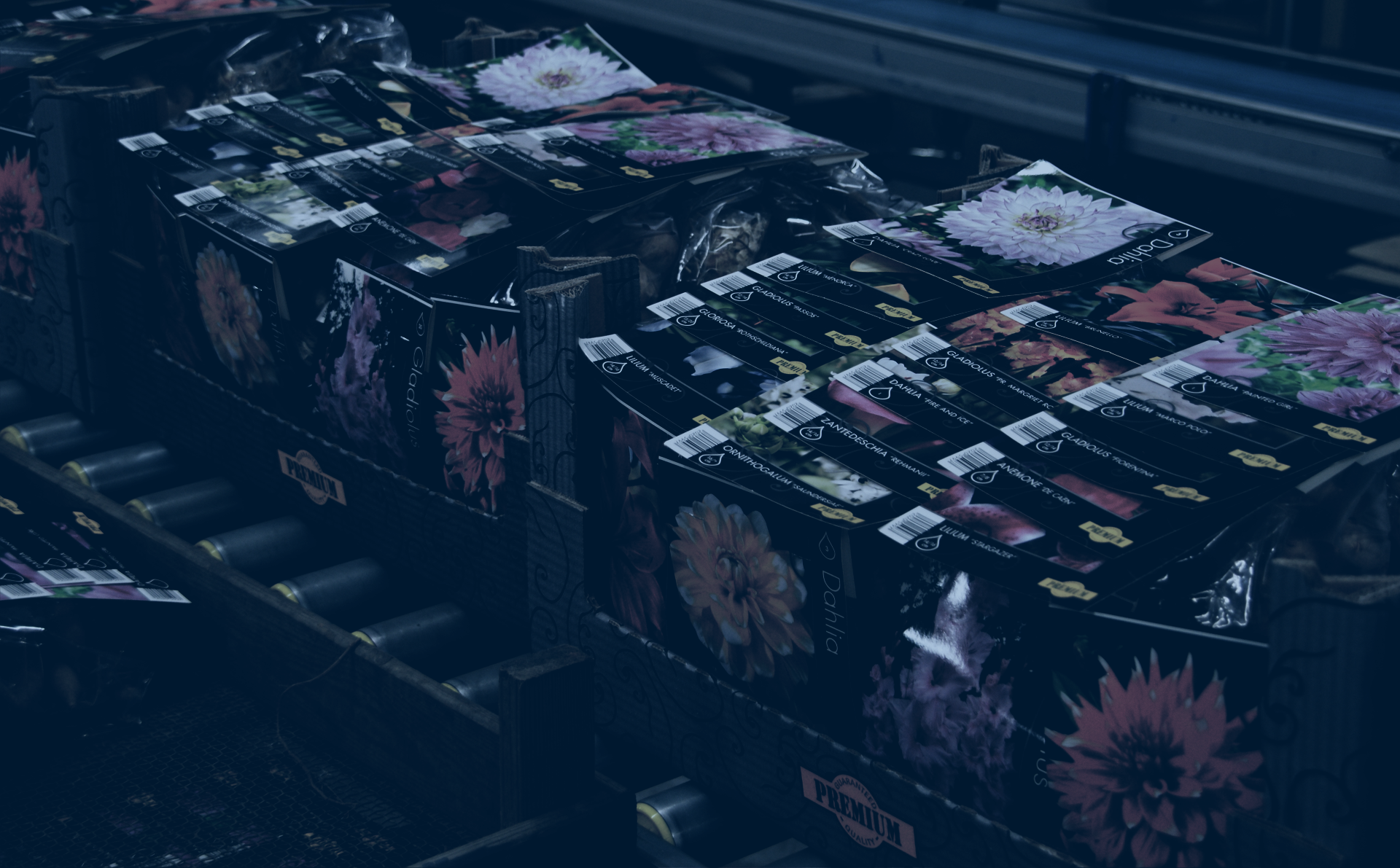 Products | Van Geest Nurseries